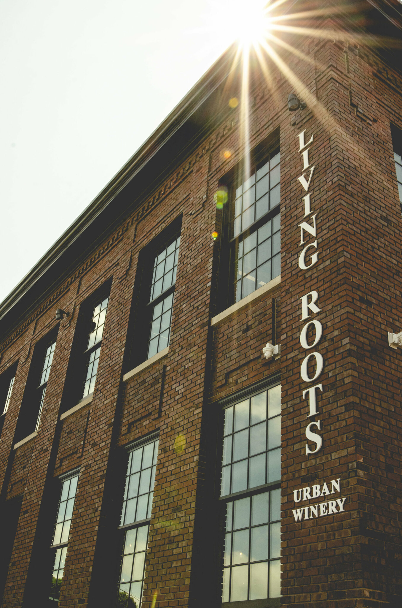 Living Roots- Private Tasting | Rochester Rotary